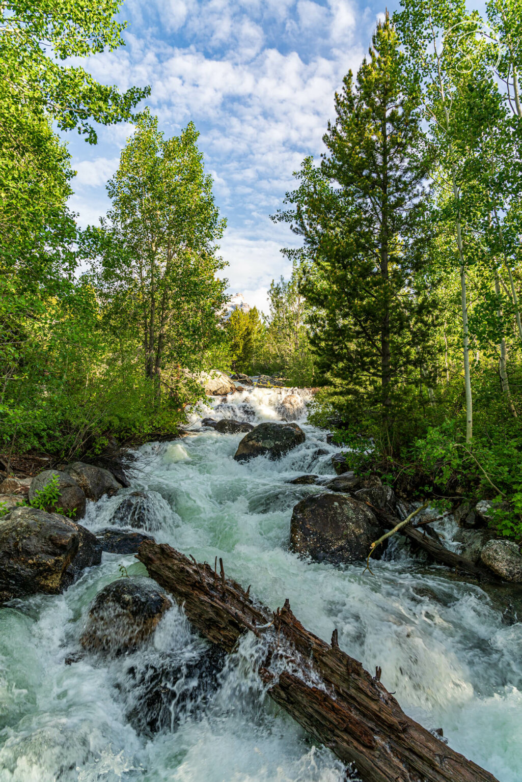 Vacation Day 8 – Steven Maier