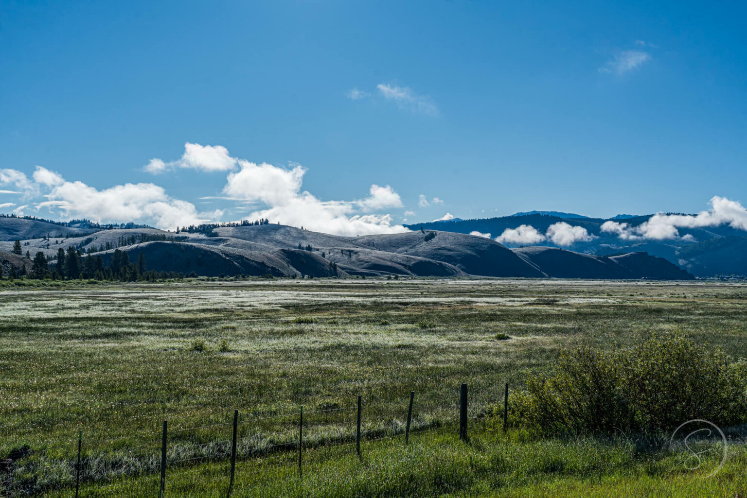 Vacation Day 11 – Steven Maier