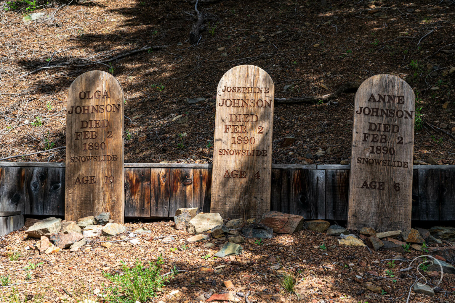 Vacation Day 11 – Steven Maier