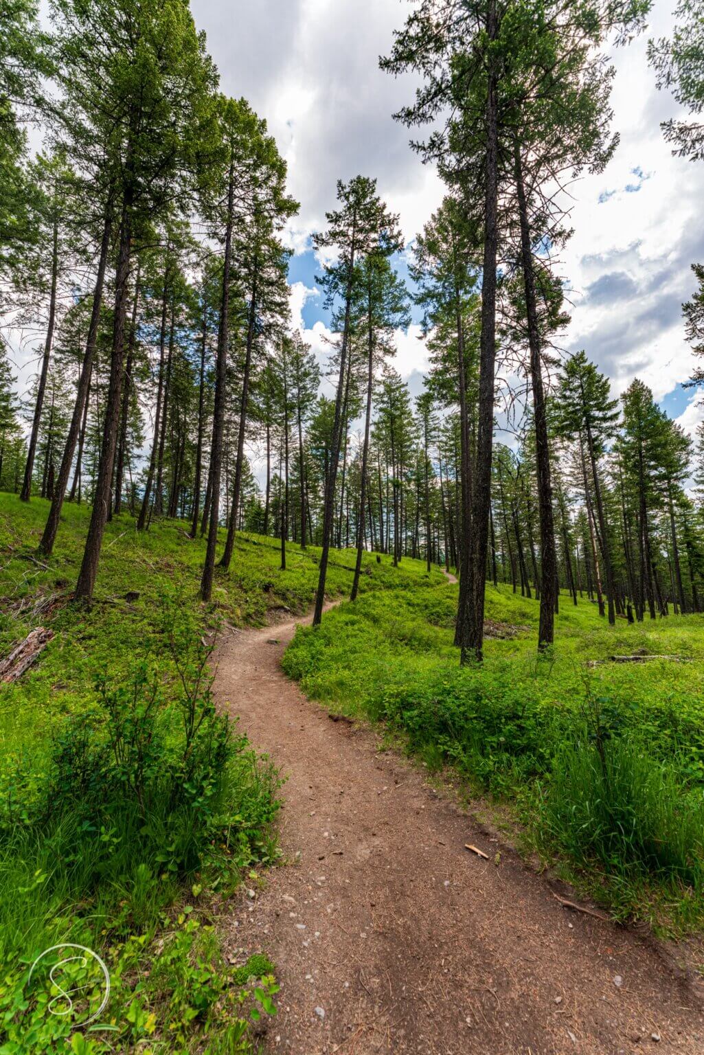 Vacation Day 3 – Steven Maier