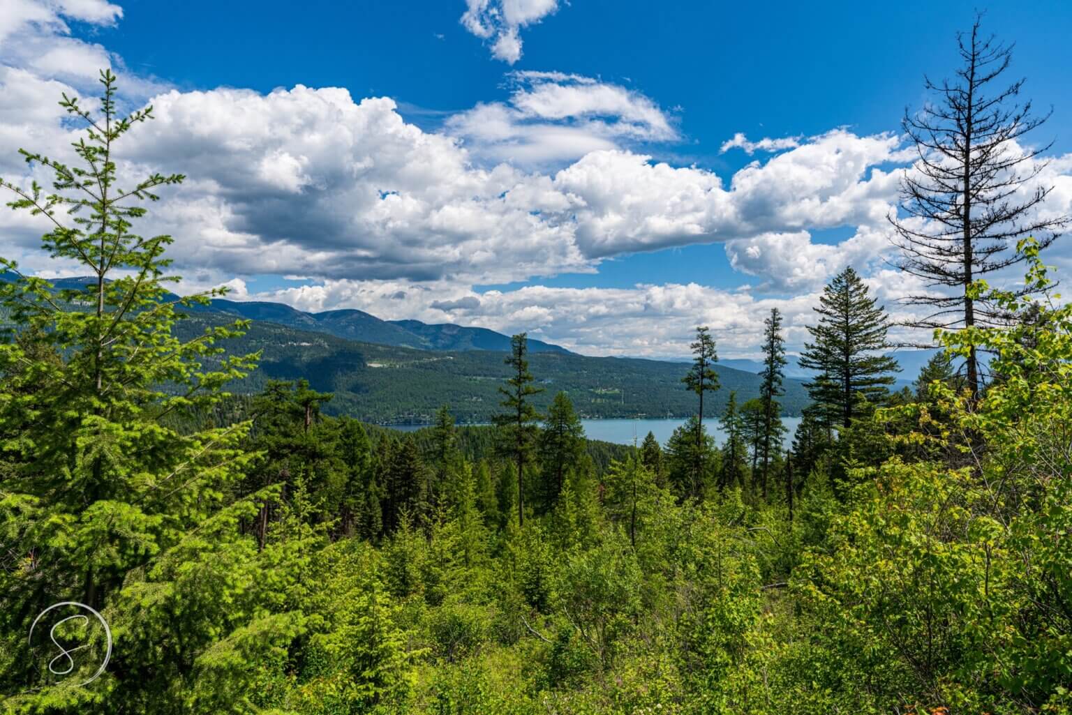 Vacation Day 3 – Steven Maier